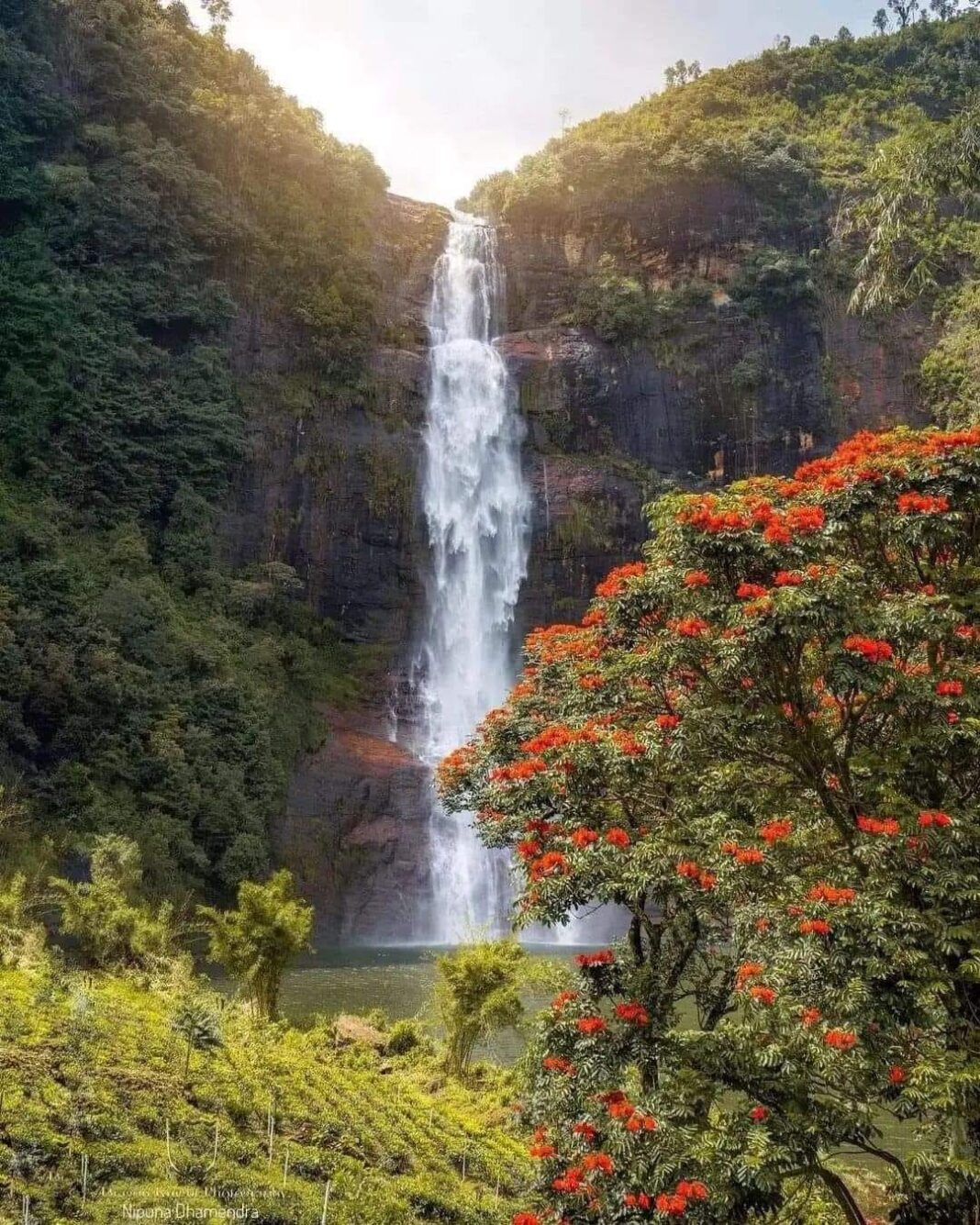 Discover The Hidden Beauty Of Gartmore Falls » Tour My Lanka - Travel Blog