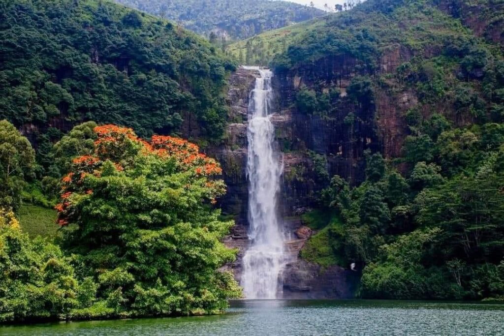 Discover The Hidden Beauty Of Gartmore Falls » Tour My Lanka - Travel Blog