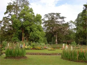 Discover The Enchanting Beauty Of Hakgala Botanical Garden, Sri Lanka ...